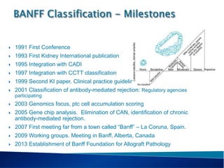 Kim Solez A renaissance in renal pathology brought about by ...