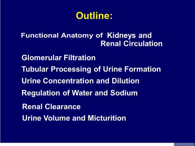 A RENAL ppt.pptx