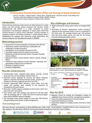 Participatory Varietal Selection (PVS) and Scaling of Enset landraces | PPT