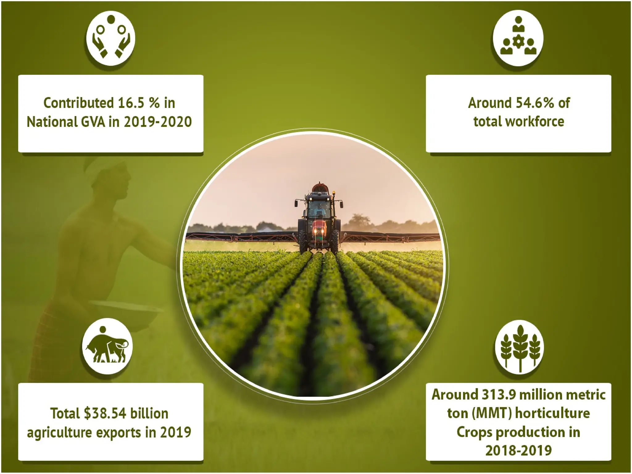 A REPORT ON AGRICULTURE INDUSTRY IN INDIA.pptx