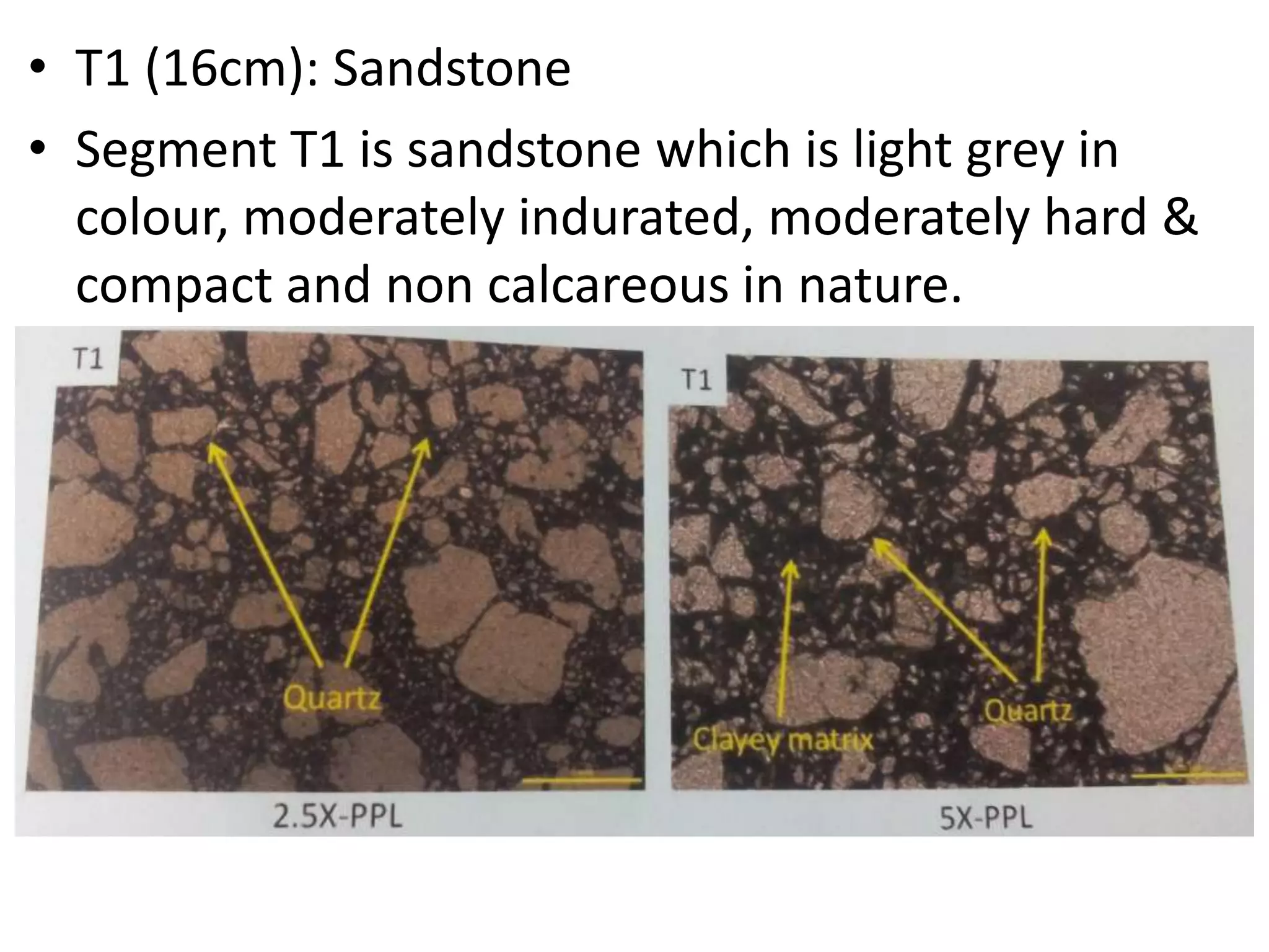 sedimentological study geology at ongc vadodara | PPTX