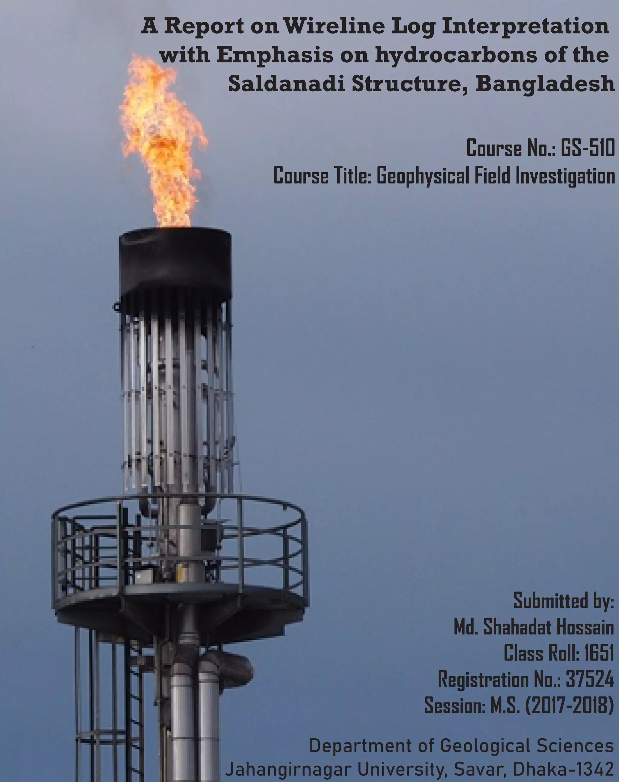 A report on wireline log interpretation with emphasis on hydrocarbon of ...