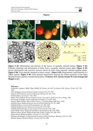 A research review on tomato bushy stunt virus disease complex | PDF