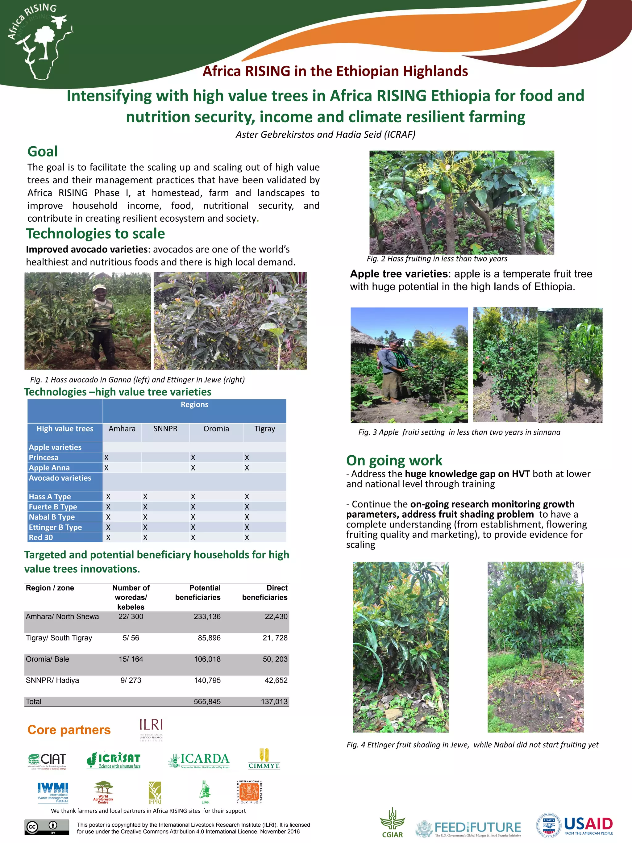 Intensifying with high value trees in Africa RISING Ethiopia for food ...