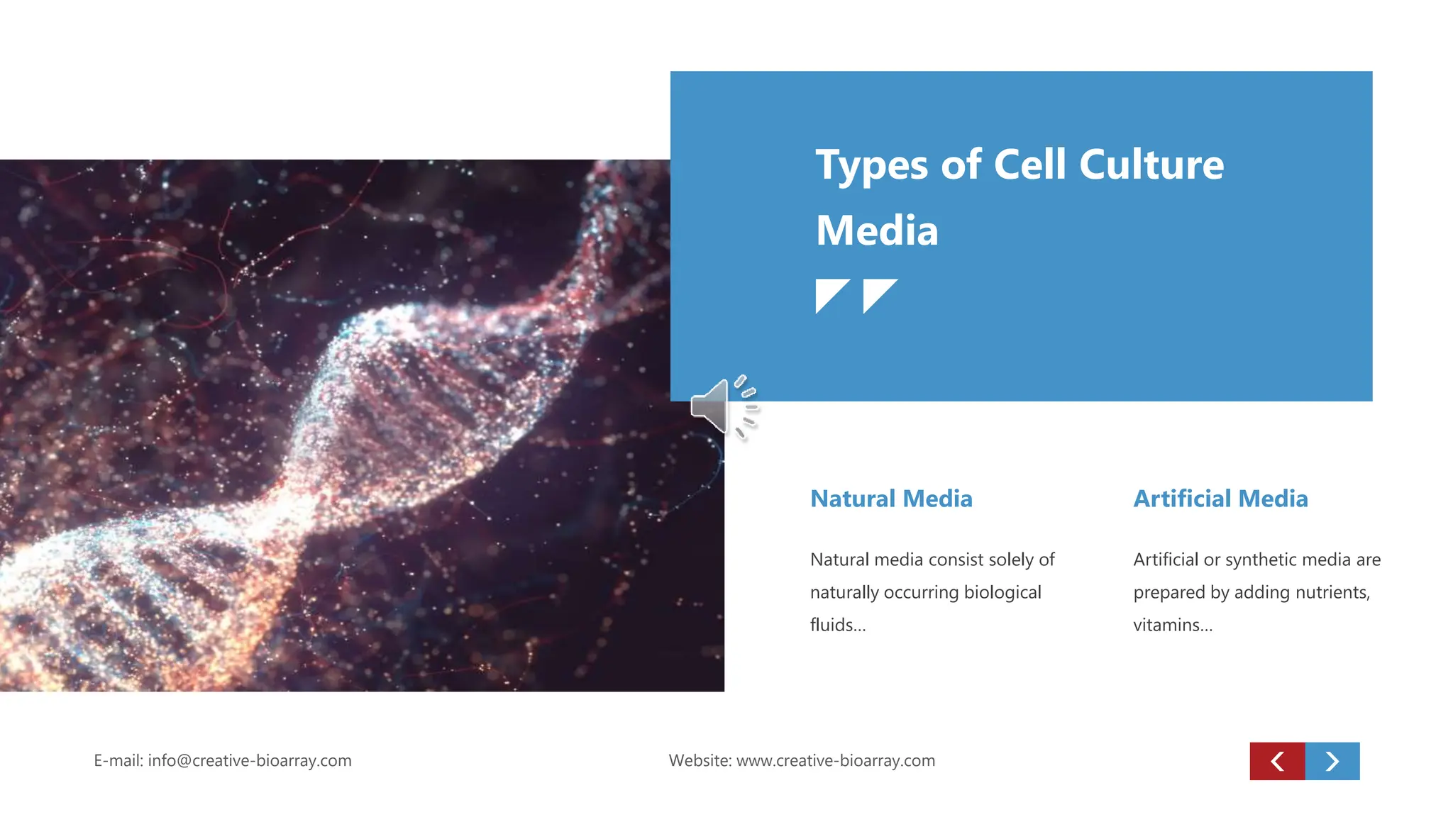 A Comprehensive Review of Cell Culture Media | PPTX