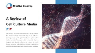 A Comprehensive Review of Cell Culture Media | PPTX