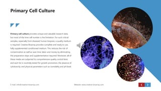 A Comprehensive Review of Cell Culture Media | PPTX