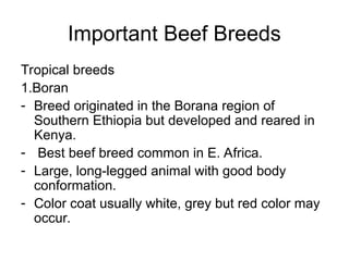 A Review of important beef breeds 2 (1).ppt