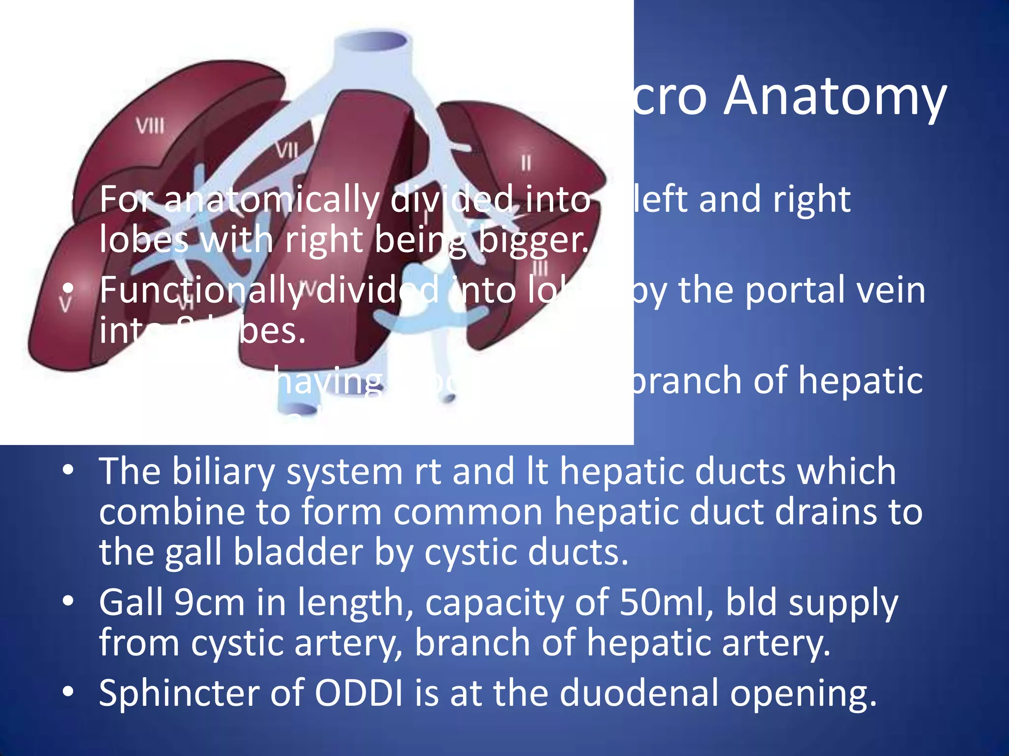 A review of liver anatomy and physiology for anesthesiologists | PPTX ...