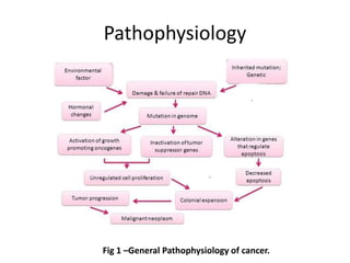 A review on cancer therapy immunotherapy perspective | PPTX
