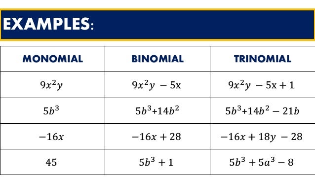 A Review On Polynomials