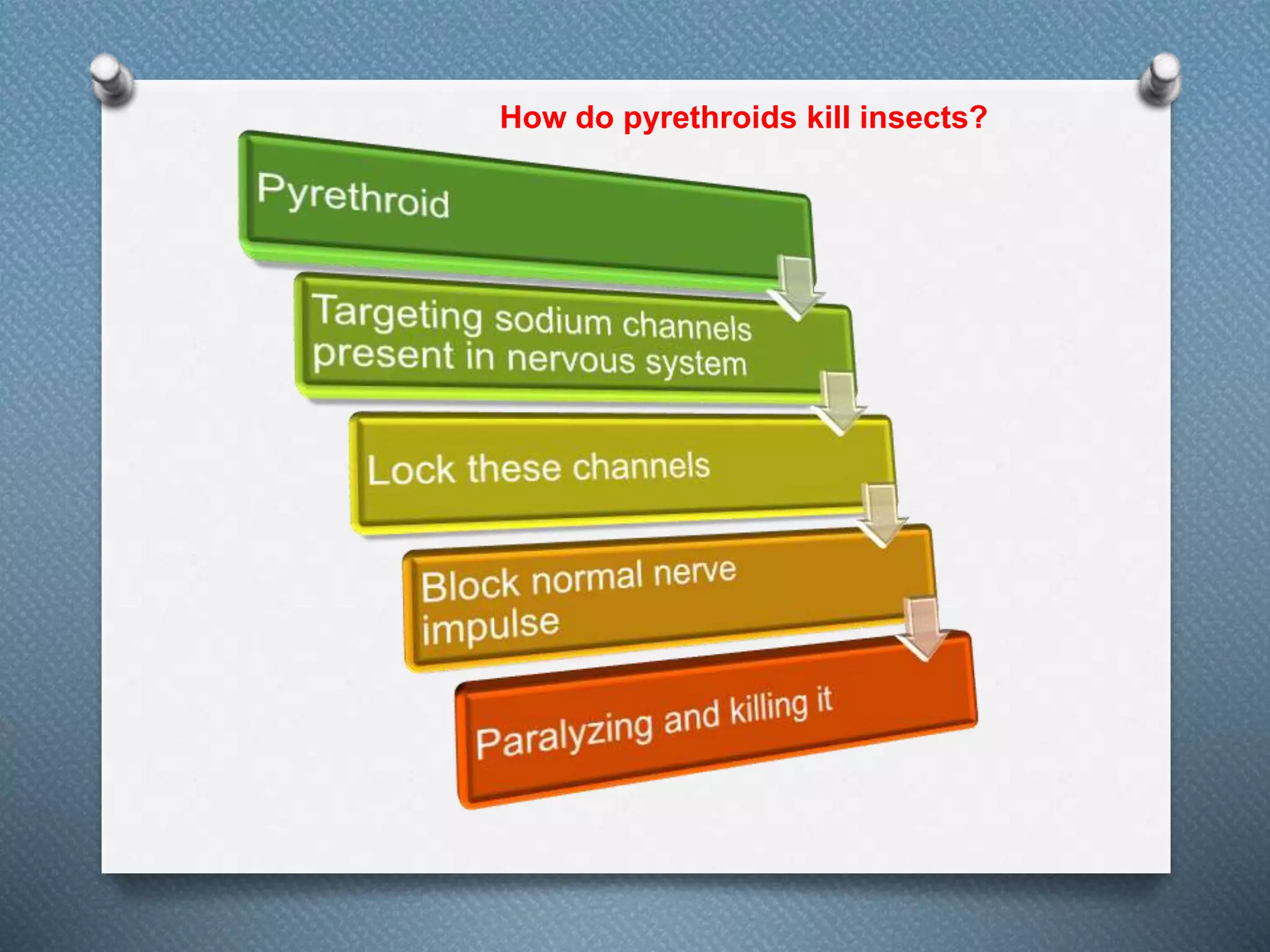 structure and toxicity of pyrethroid slideshare | PPTX