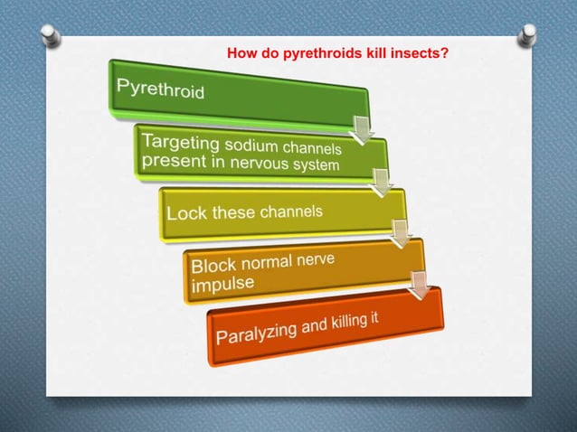 structure and toxicity of pyrethroid slideshare | PPTX