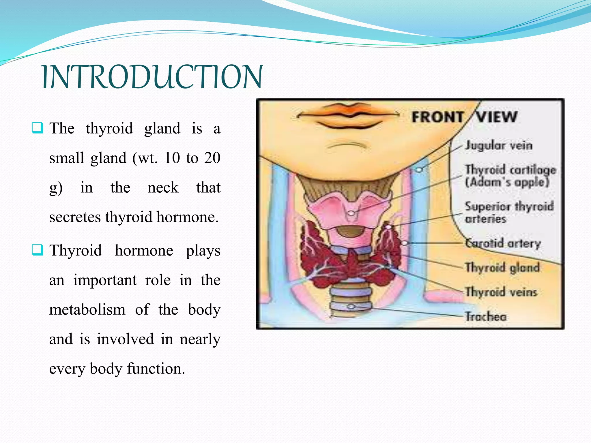 A Review on Thyroid Diseases | PPTX