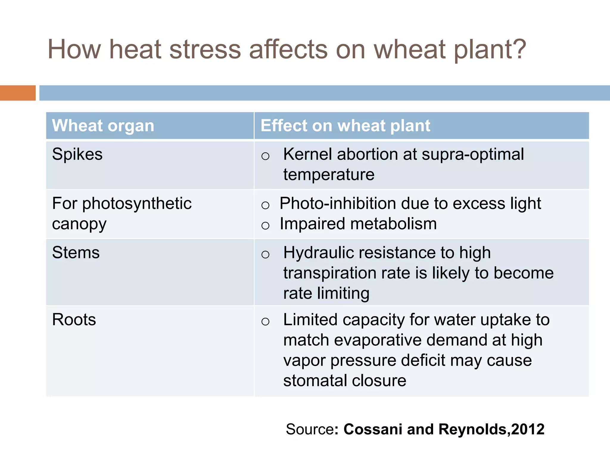 Drought and heat stress in late sown wheat and mitigation strategies | PPTX