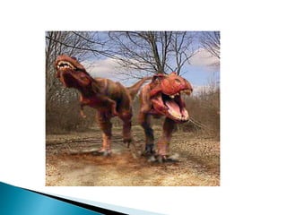 Are you a Dinosaur or a Cockroach | PPT