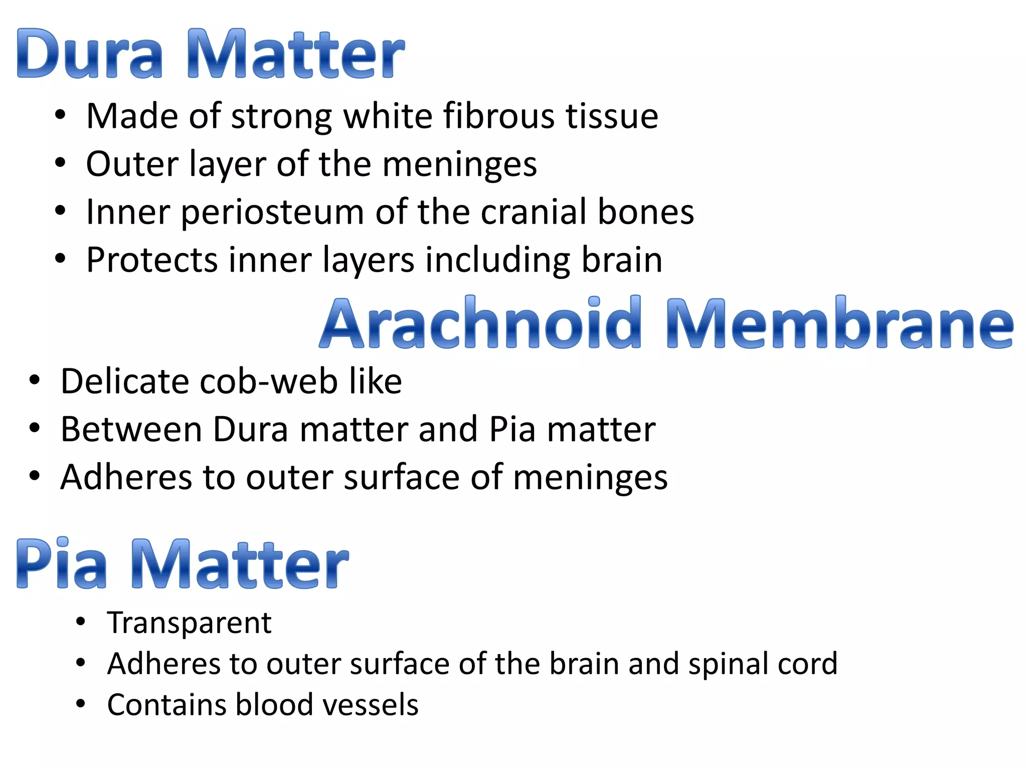 Are you going to flight or flee | PPT