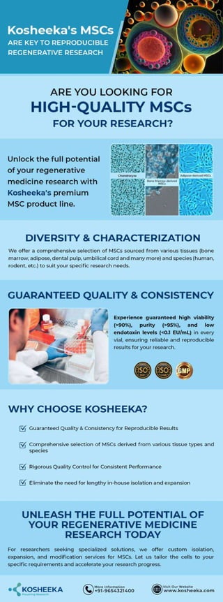 Are You looking for High-Quality for your Research? | PDF