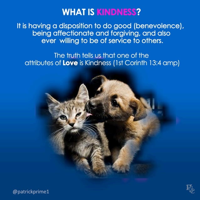 Are you Struggling with showing Kindness.pdf