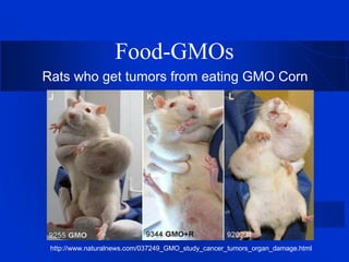 Are You Toxic and Why? | PPT