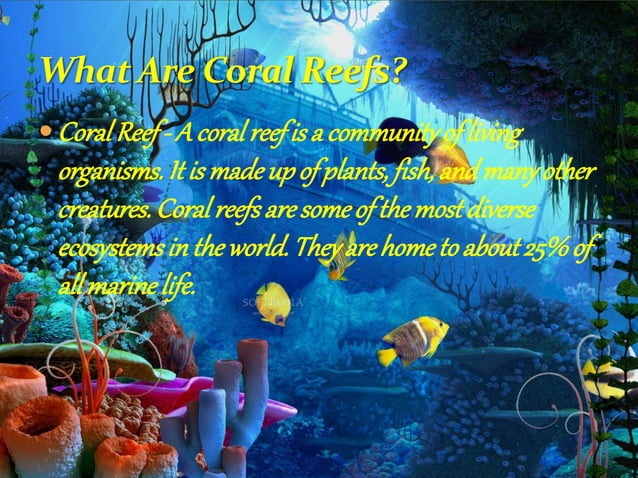 Coral Reefs | PPT