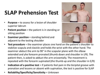 Nicola Taddio Arezzo Nicolas Foundation 2011 Shoulder Cadaver Lab | PPT