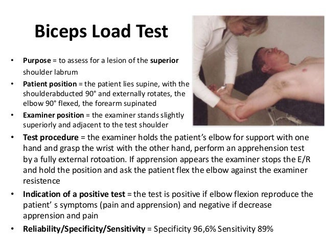 Nicola Taddio Arezzo Nicolas Foundation 2011 Shoulder Cadaver Lab