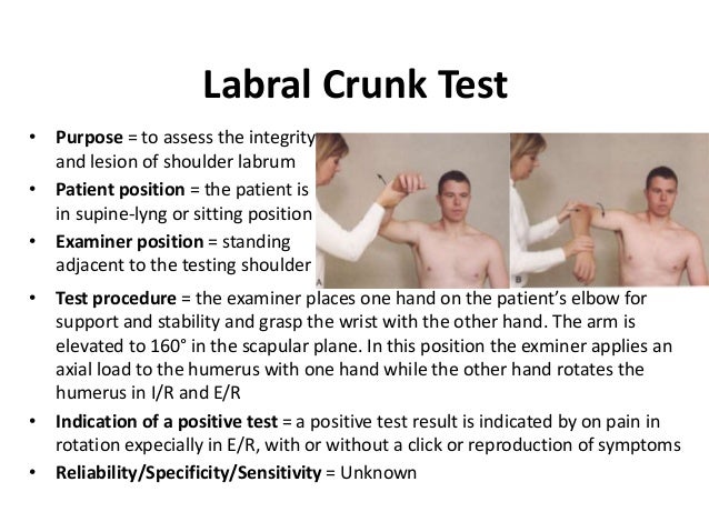 Nicola Taddio Arezzo Nicolas Foundation 2011 Shoulder Cadaver Lab