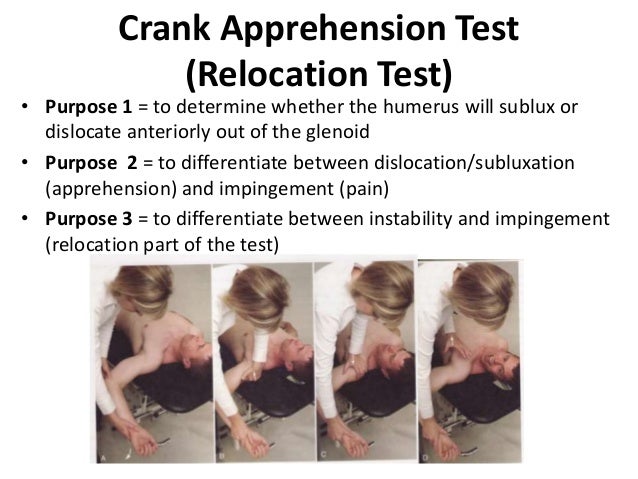 Nicola Taddio Arezzo Nicolas Foundation 2011 Shoulder Cadaver Lab