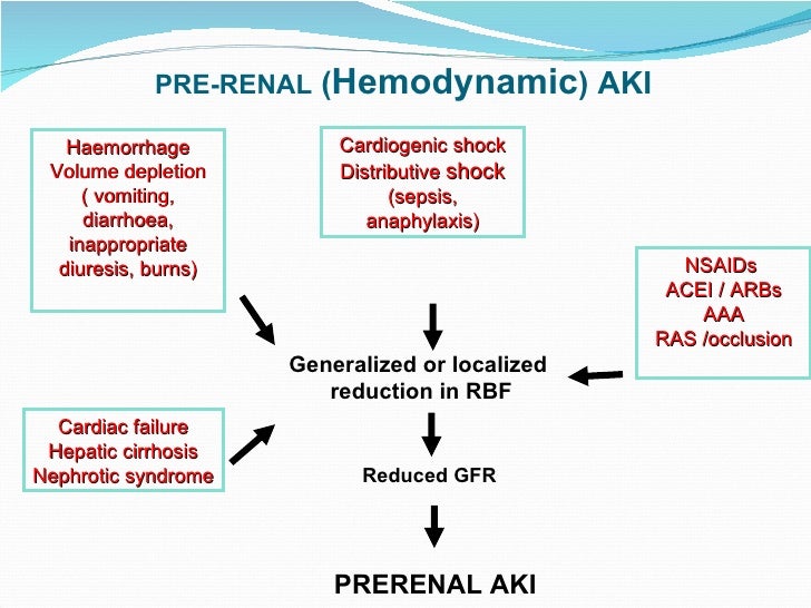 Intrarenal Acute Kidney Failure