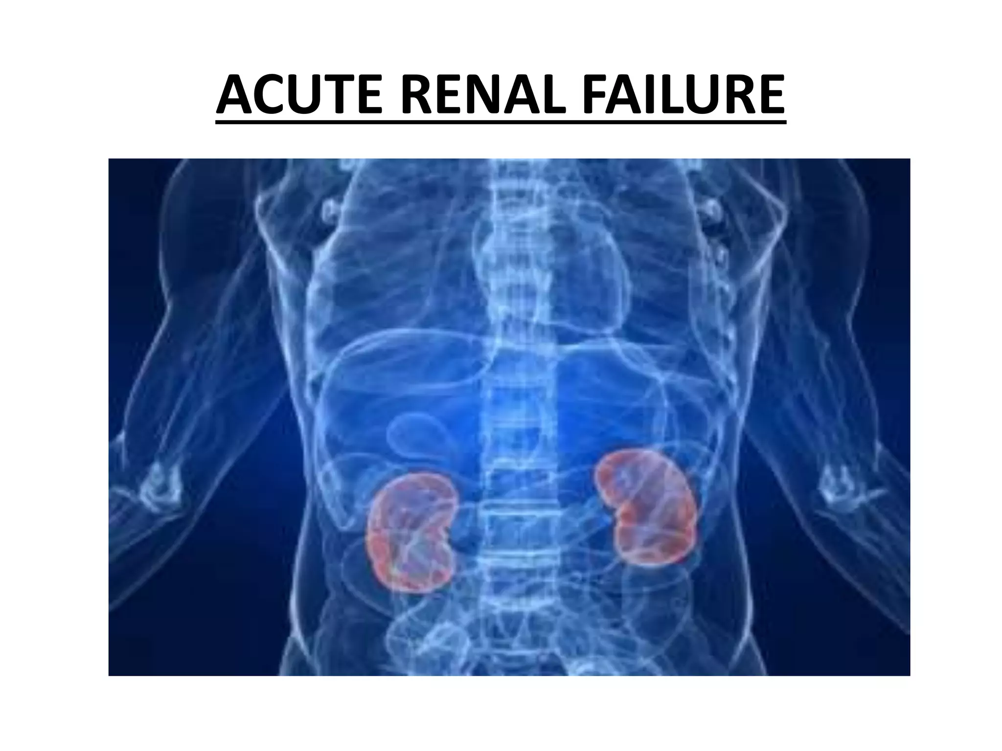 Acute Renal Failure Overview | PPTX | Blood Disorders | Diseases and Conditions