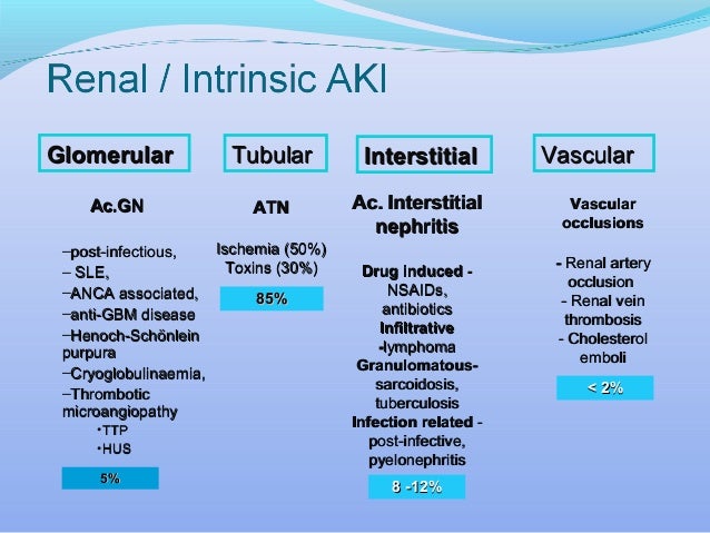 Acute renal failure
