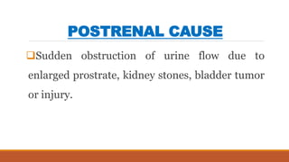 ACUTE RENAL FAILURE AND CHRONIC RENAL FAILURE.pptx