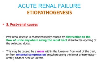 ACUTE RENAL FAILURE & CHRONIC RENAL FAILURE | PPTX
