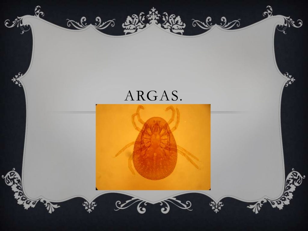 Argas