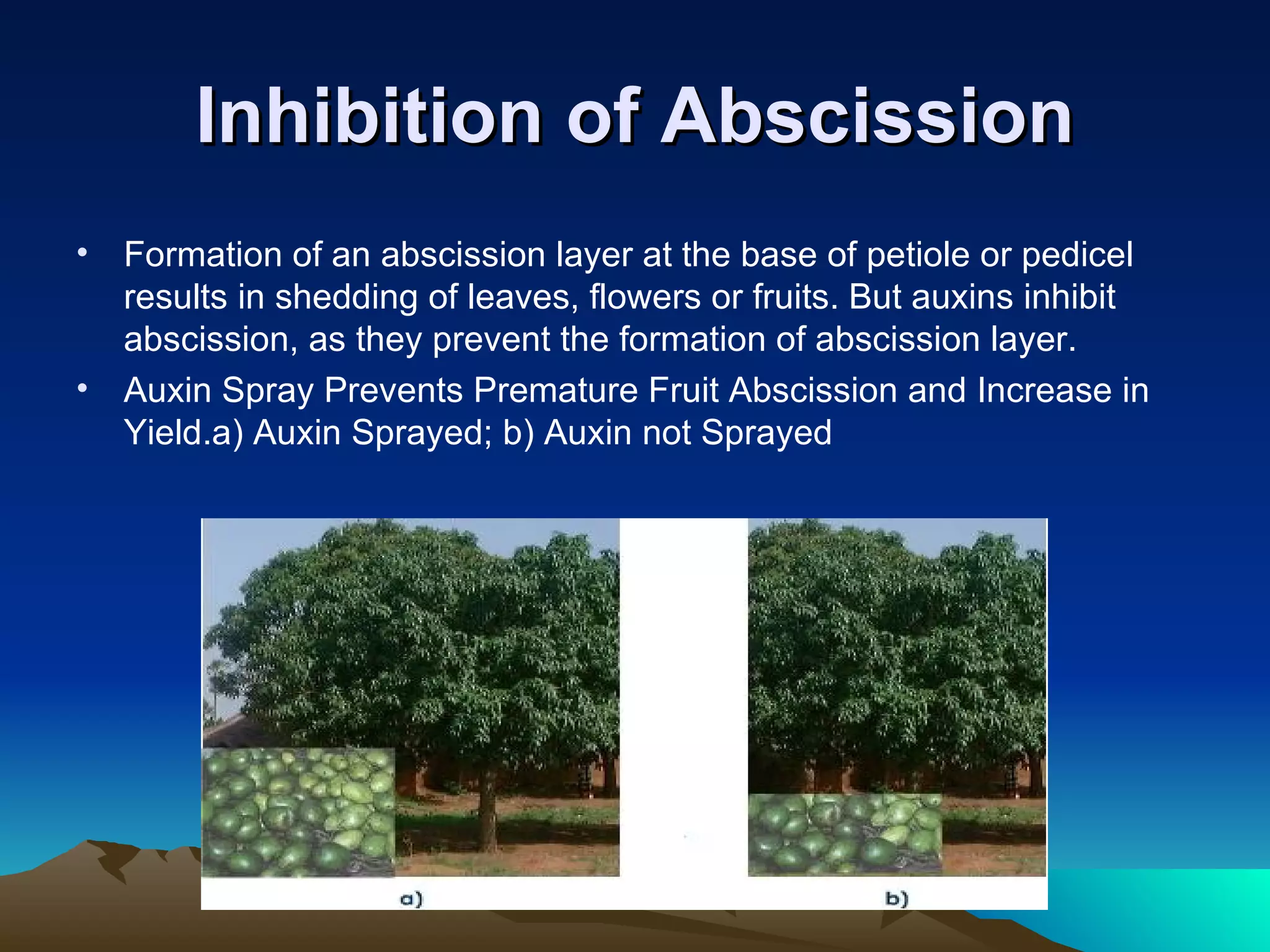 GROWTH SUBSTANCES AND ITS ROLES IN VEGETABLE CROP GROWTH | PPT