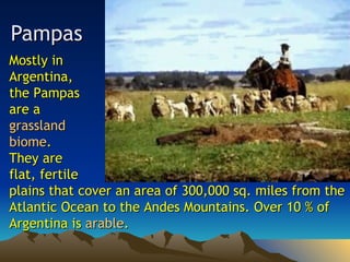 Argentina | PPT