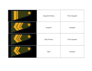 Argentine Army Enlisted rank insignia | DOC