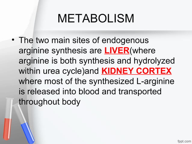 Arginine metabolism by aslam matania | PPT | Endocrine and Metabolic ...