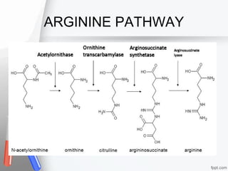 Arginine metabolism by aslam matania | PPT