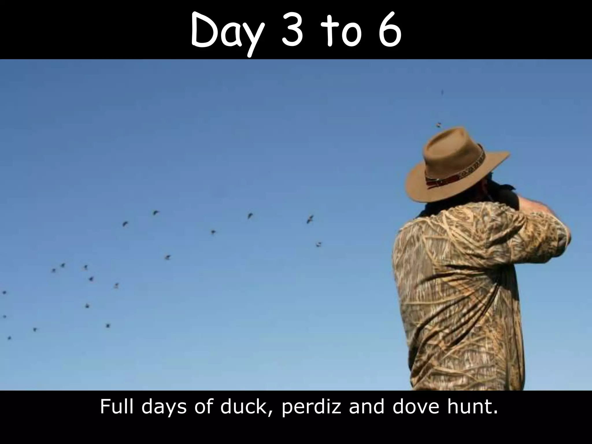 Argentina duck, dove perdiz combination hunt | PPT