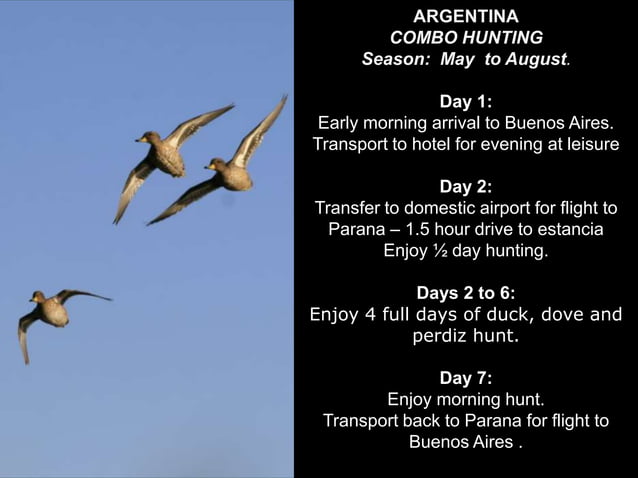 Argentina duck, dove perdiz combination hunt | PPT