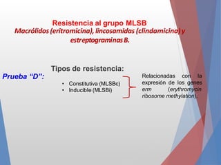Resistencia bacteriana | PPTX