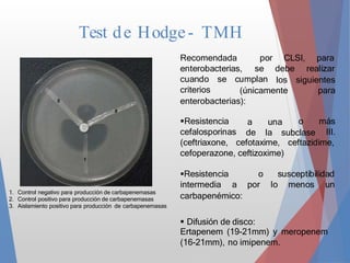 Resistencia bacteriana | PPTX