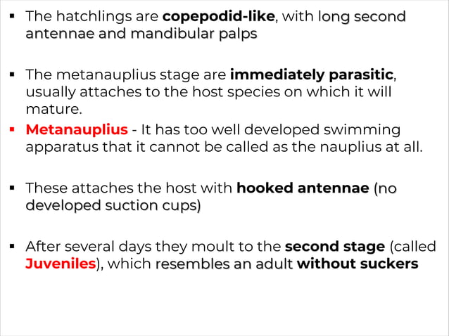 Argulus | PDF | Fish and Aquariums | Pets