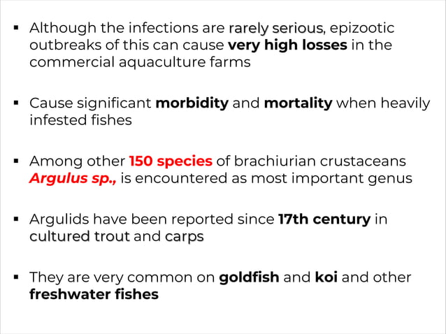 Argulus | PDF | Fish and Aquariums | Pets