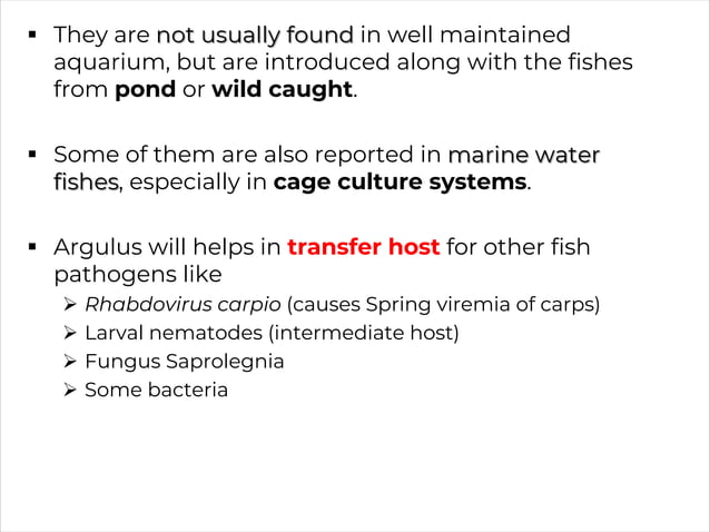 Argulus | PDF | Fish and Aquariums | Pets