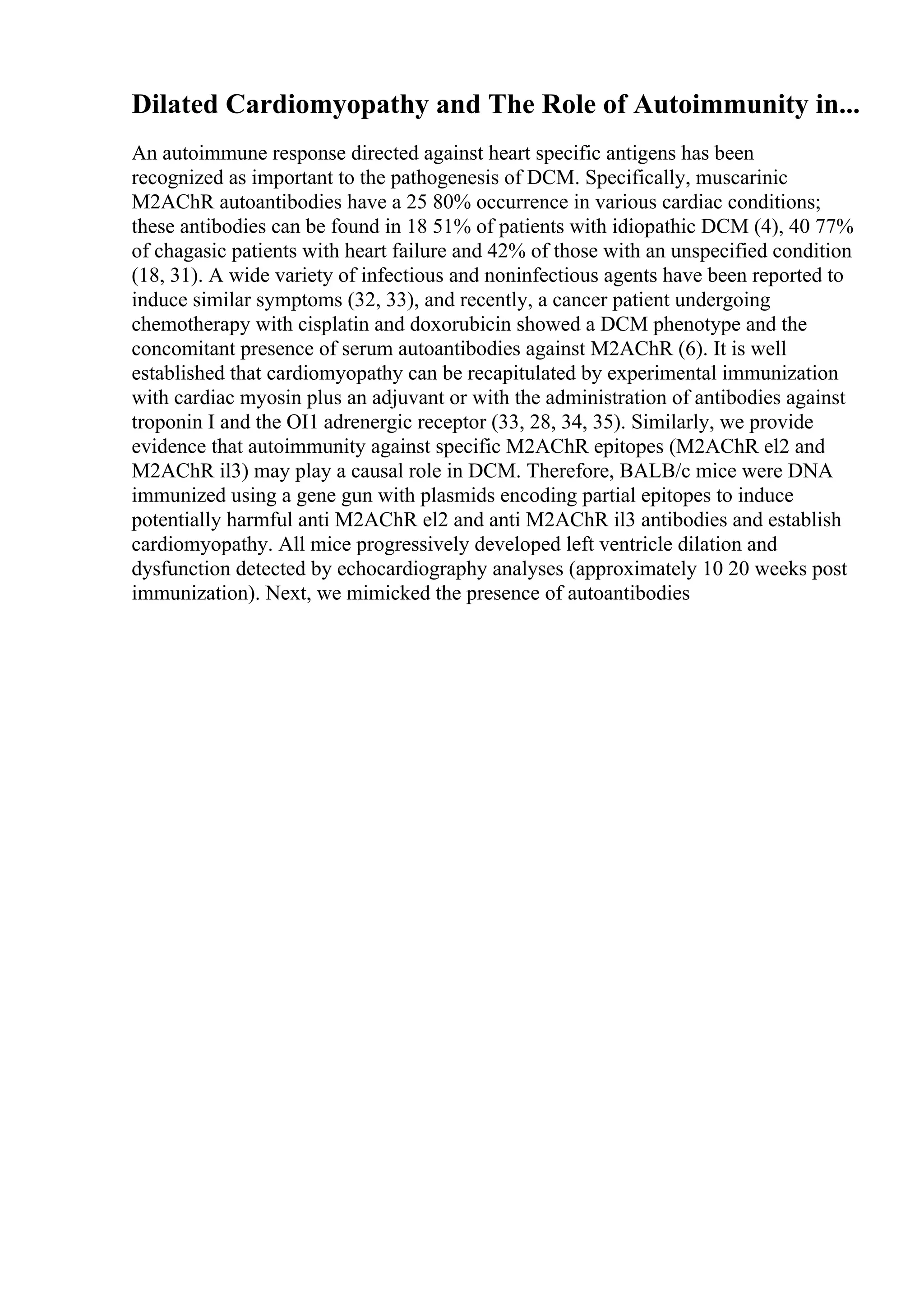 Argumentative Essay Conclusion Example.pdf