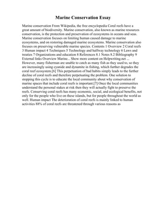 Argumentative Essay Guidelines.pdf