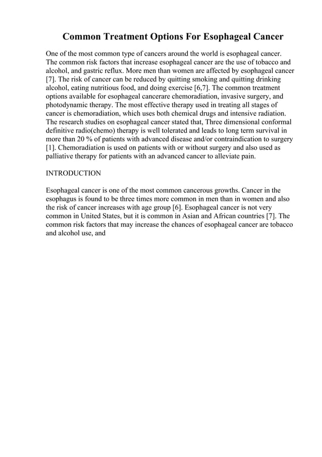 Argumentative Essay Introduction Examples.pdf